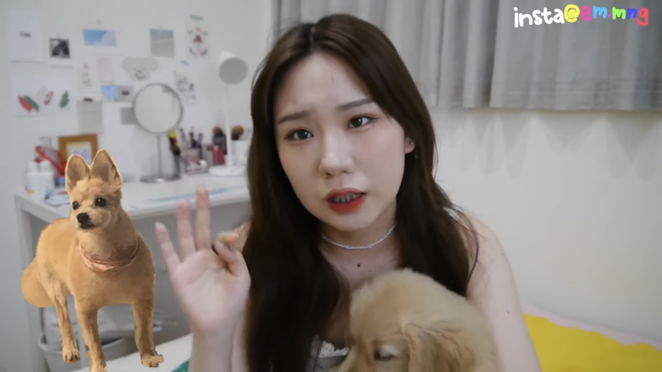 えみんちゃんねるって誰？本名や年齢などプロフィール！韓国人なの？彼氏はいるの？ | havicoco