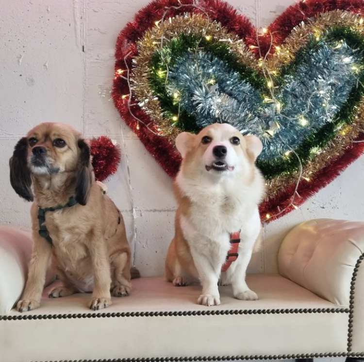 韓国の大食い美人Youtuber人気TOP3 | havicoco