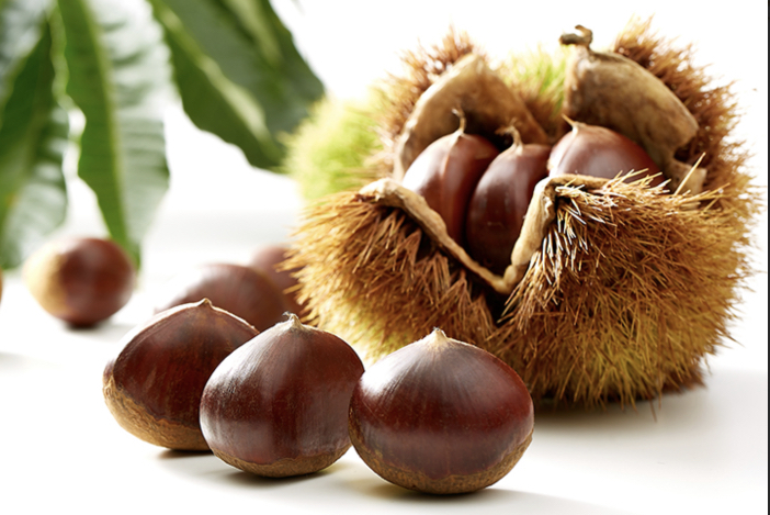 李家everydayのオンマの本名や年齢などプロフィール！オンマなNCTの誰推し？旦那さんはどんな人？ | havicoco