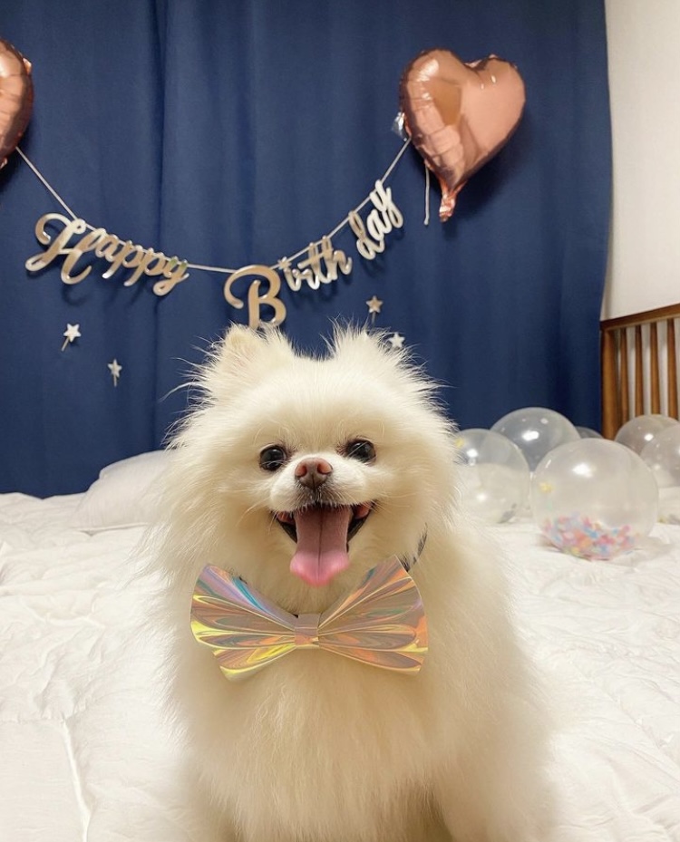 韓国の大食い美人Youtuber人気TOP3 | havicoco