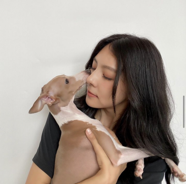 YouTuberしおん(sion)の本名や年齢などプロフィール！彼氏はいる？ | havicoco