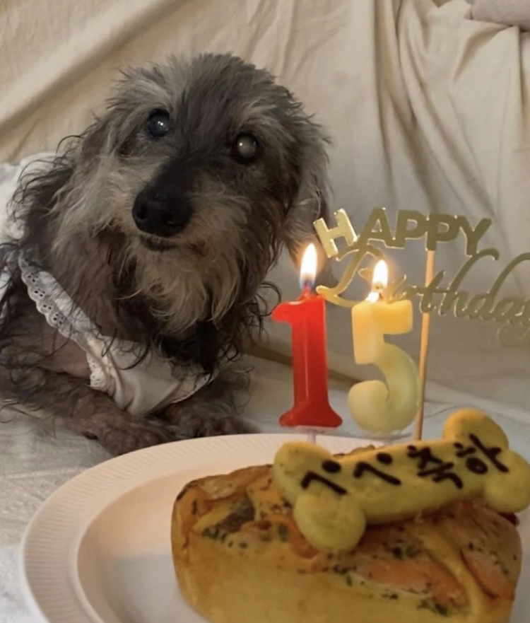 Yu Kagawaって何者？本名や年齢などプロフィール！出身や大学は？ | havicoco